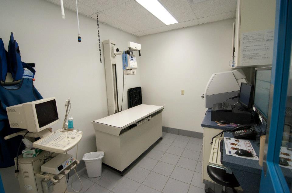 Alpine Veterinary Medical Centre