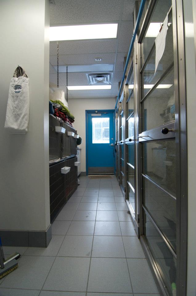 Alpine Veterinary Medical Centre
