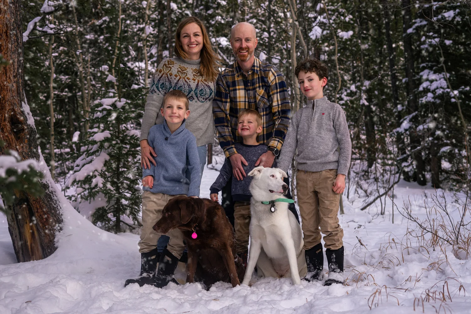 Medical Team — Alpine Veterinary Medical Centre