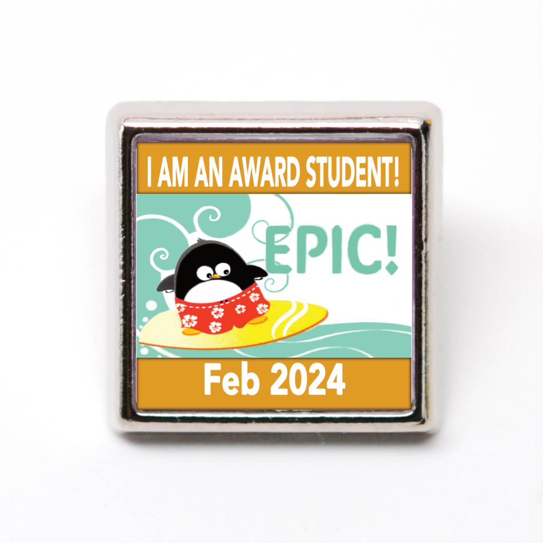 Achievement Pins — iB4e