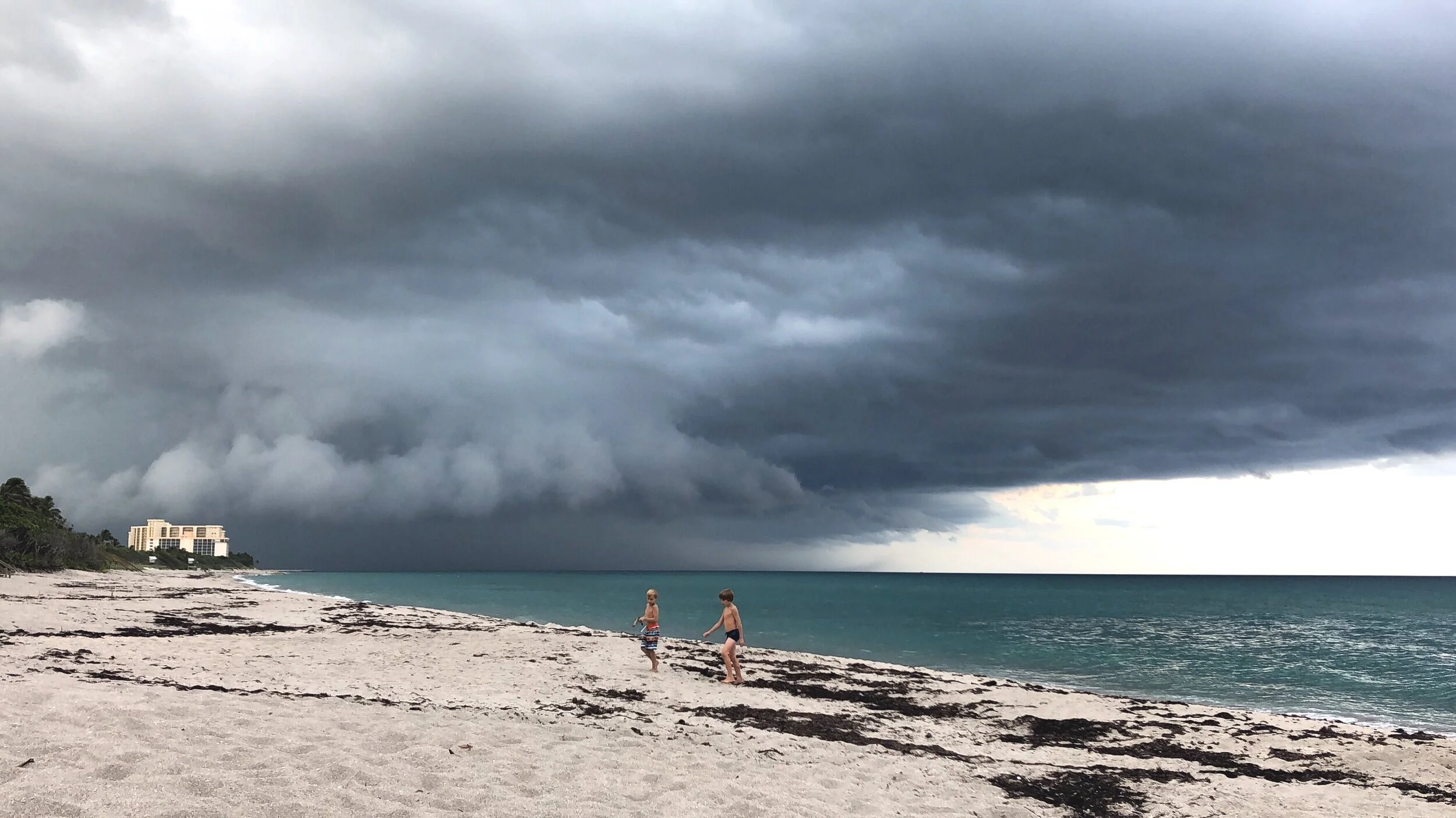 About — emily kate moon