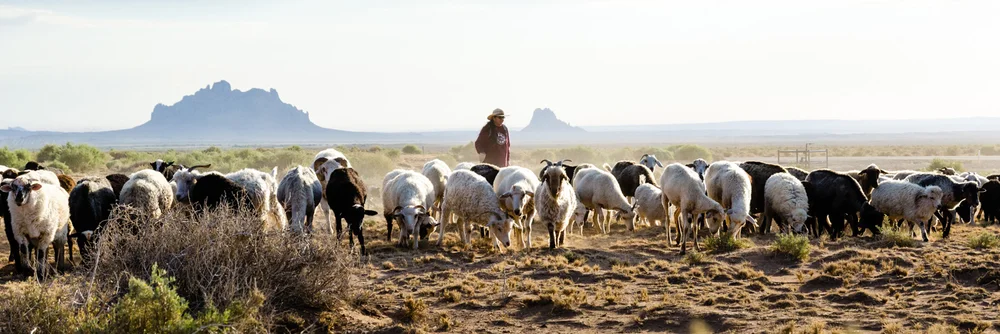Chuska Mountains — Traditional Cultures Project