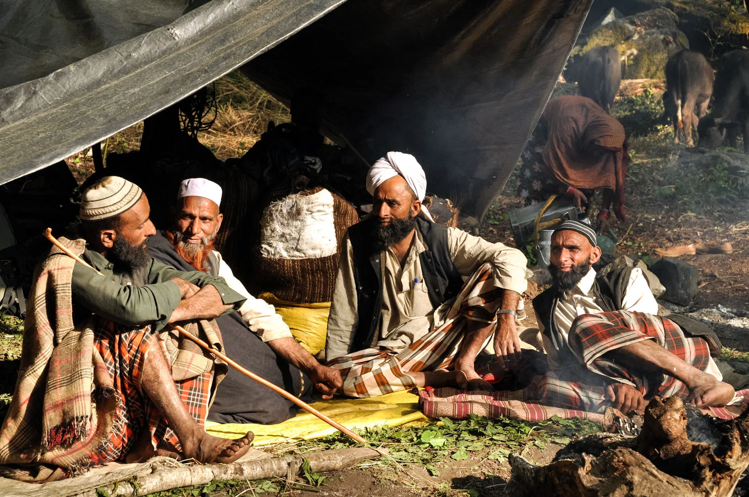 Traditional Cultures Project