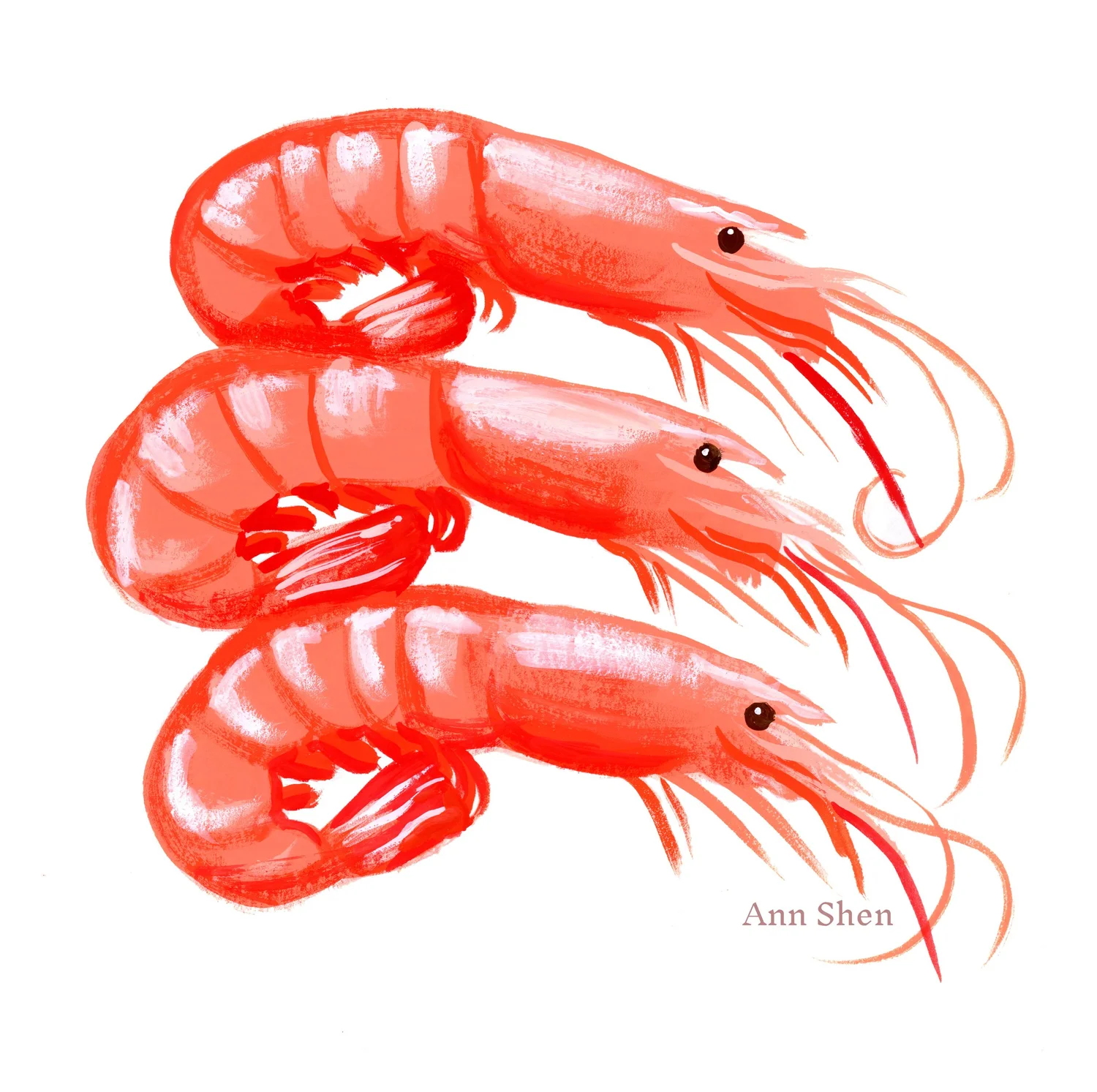 Food Illustrations — Ann Shen • Illustration & Design