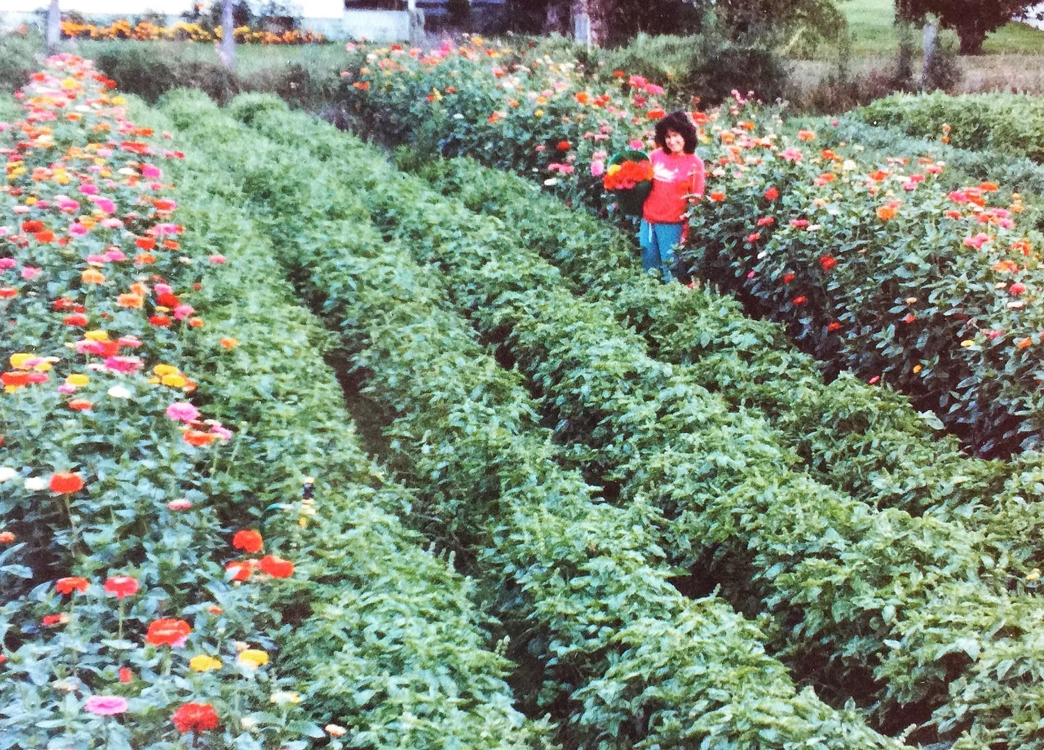 The "Do-Nothing" Farmer — Outside/In