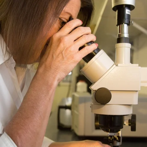 Plastic Container Technologies | RING Container Technologies