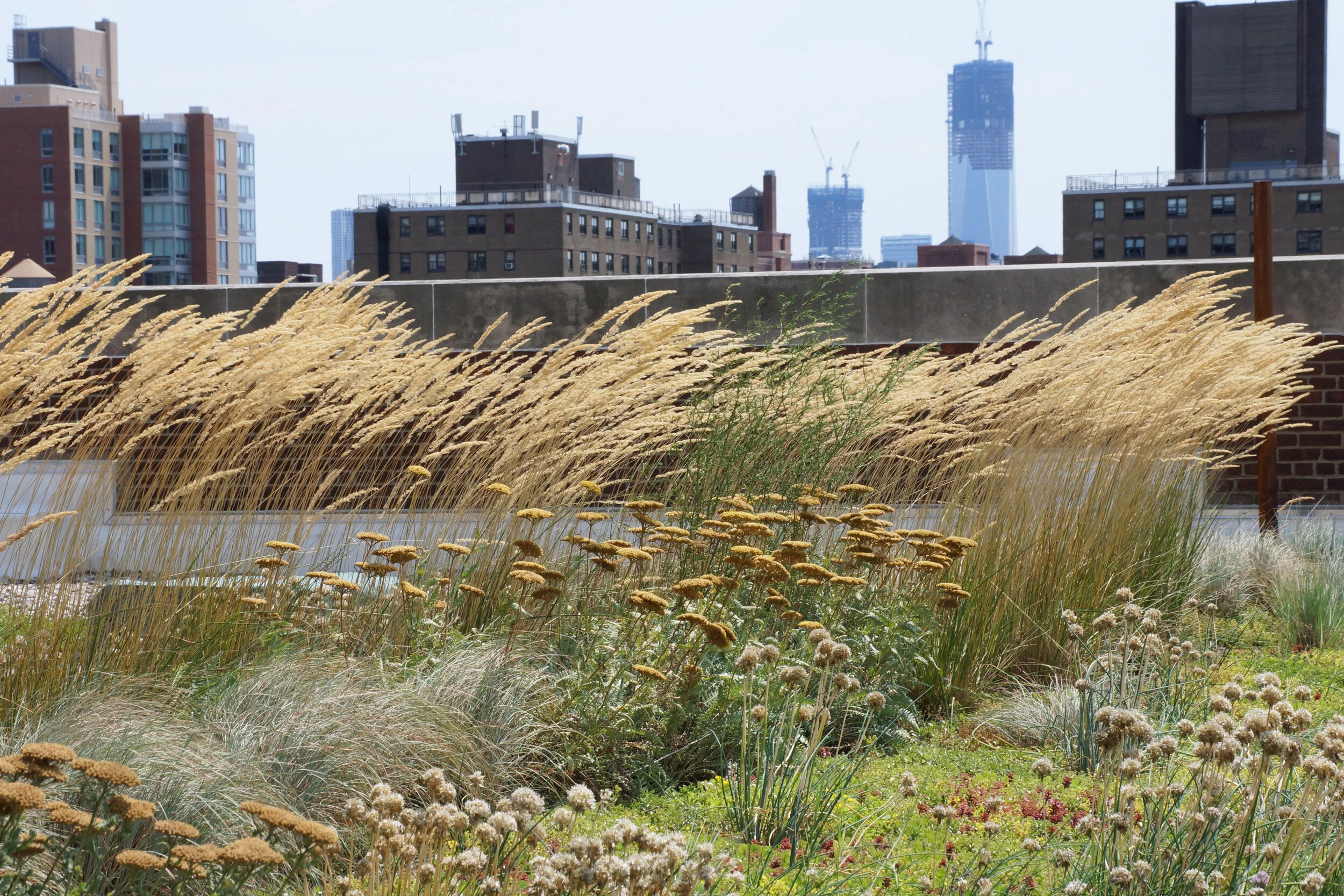 USPS Green Roof — EKLA.PLLC