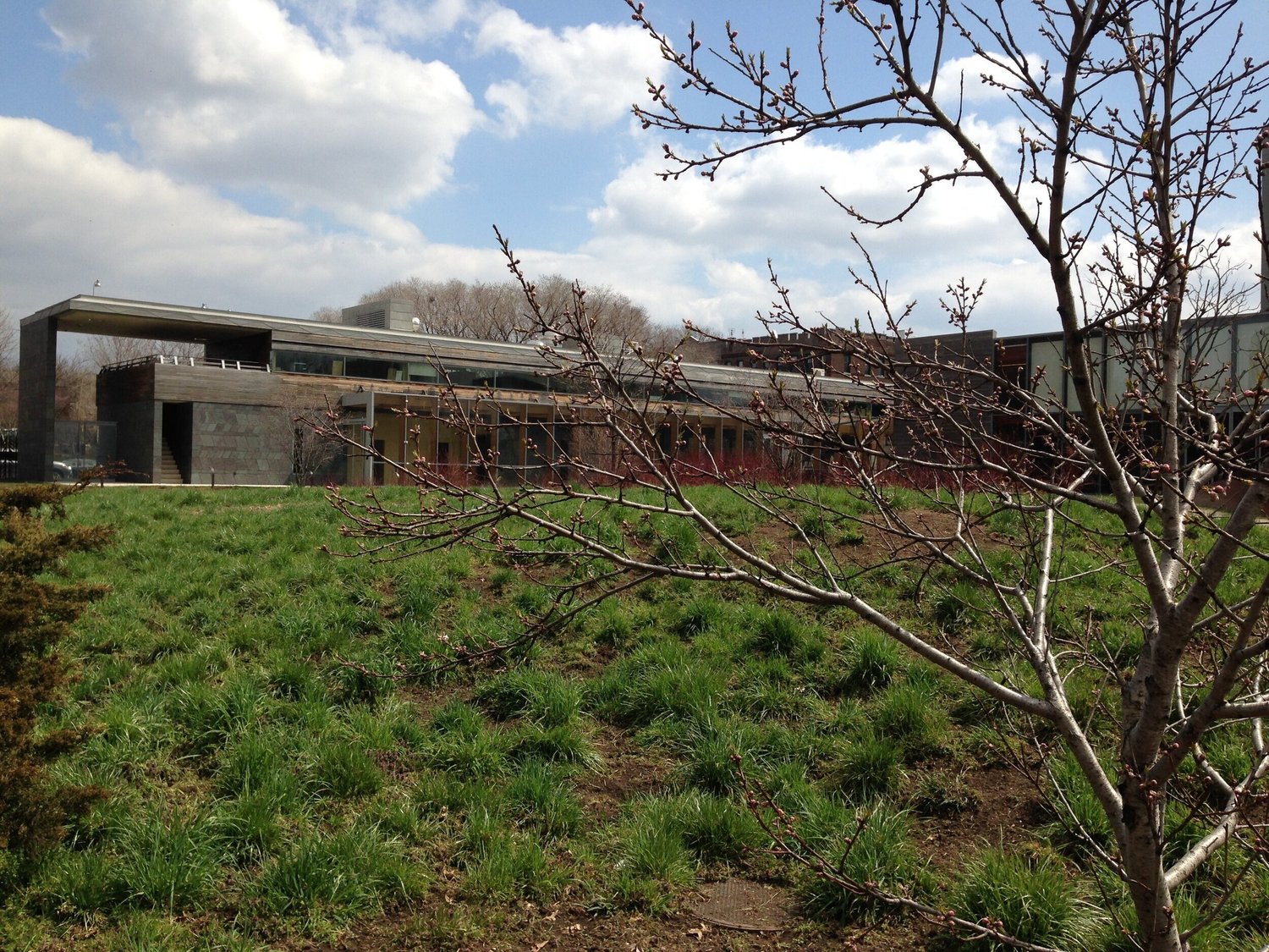 Weeksville — EKLA.PLLC