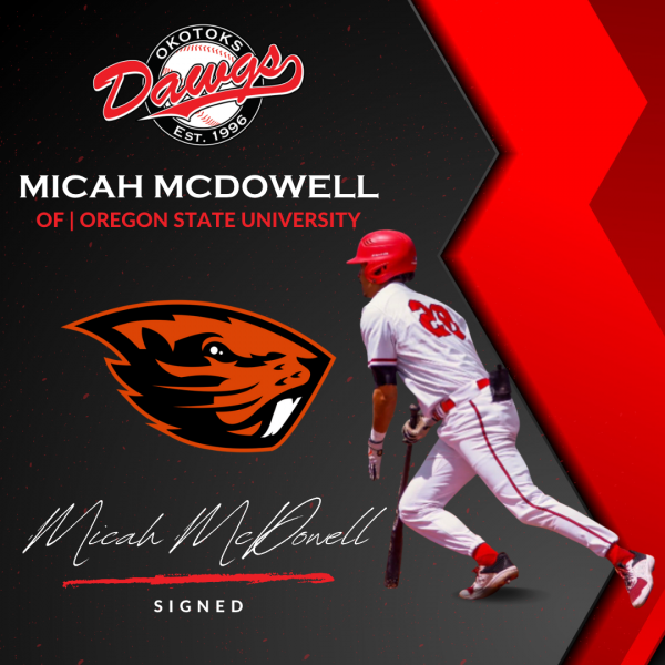 Dawgs re-sign Baltus, Herrmann, McDowell — Canadian Baseball Network