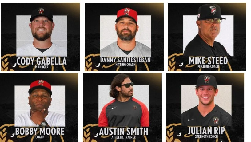 Steed returns to Atlanta Braves' Rome Emperors as pitching coach ...