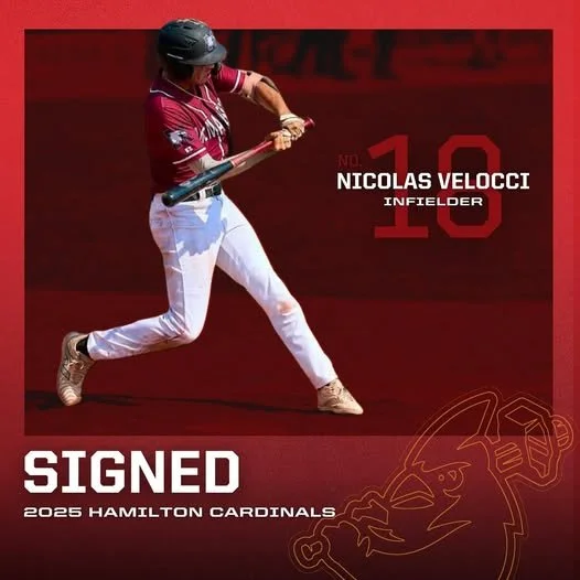 IBL's Hamilton Cardinals sign Velocci — Canadian Baseball Network