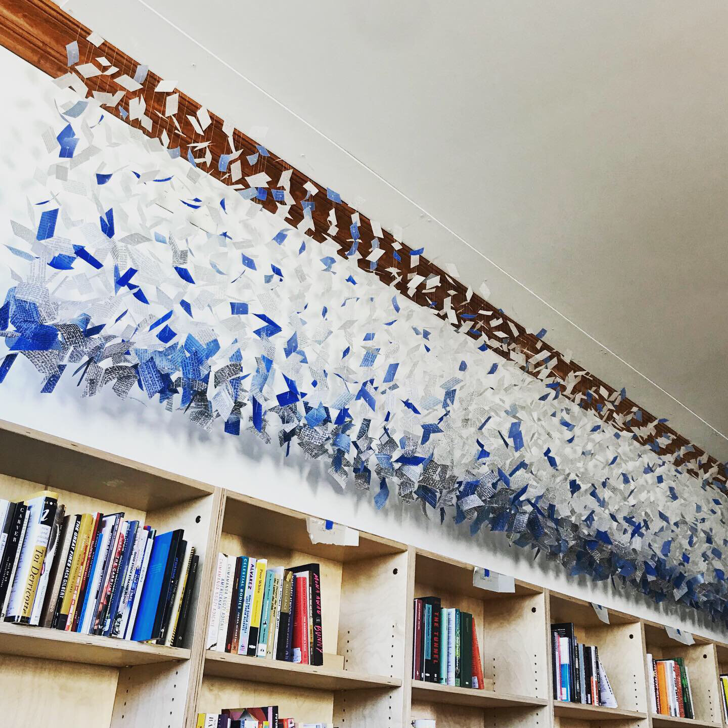 Gallery — Paper Acorn