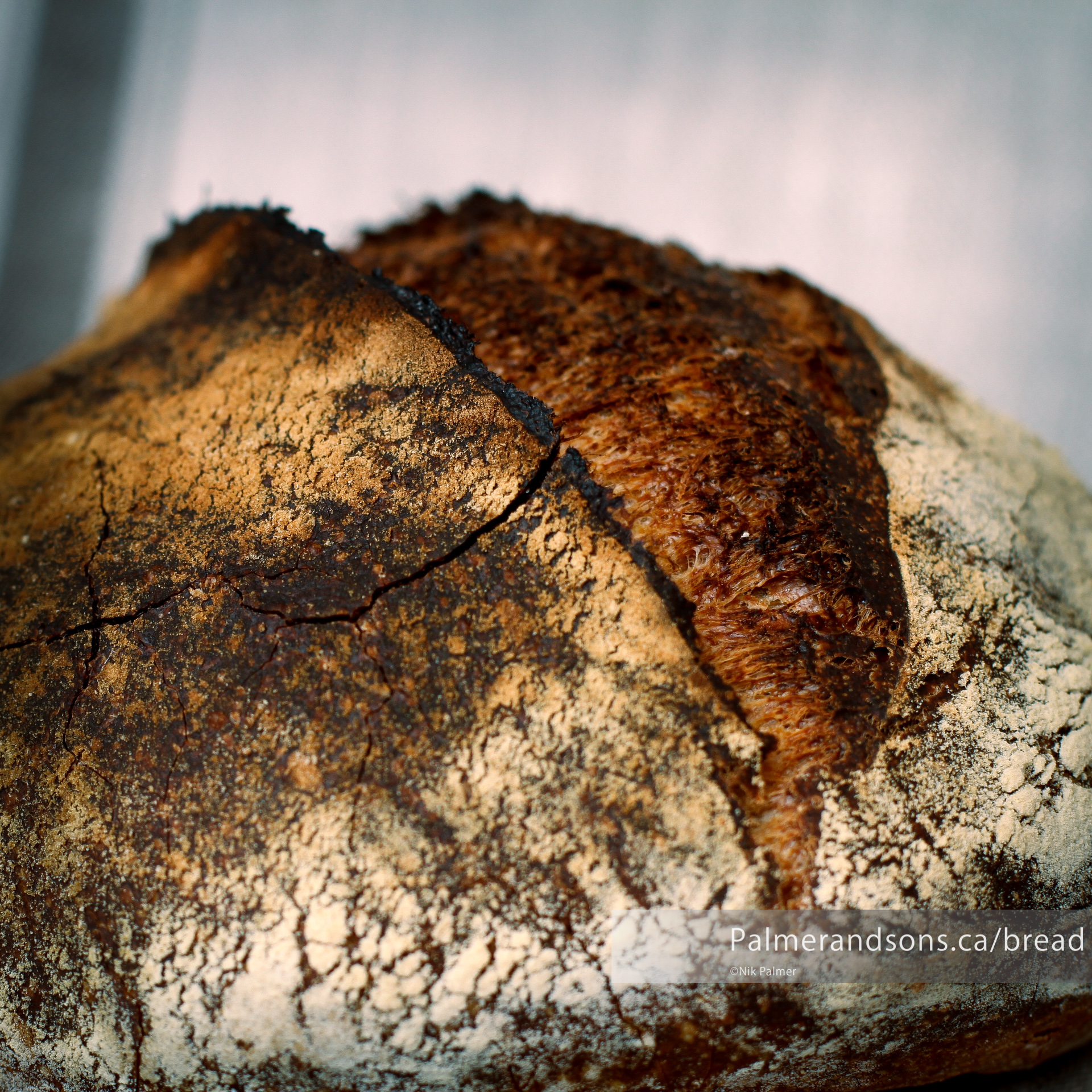 Bread Sourdough — Palmer & Sons