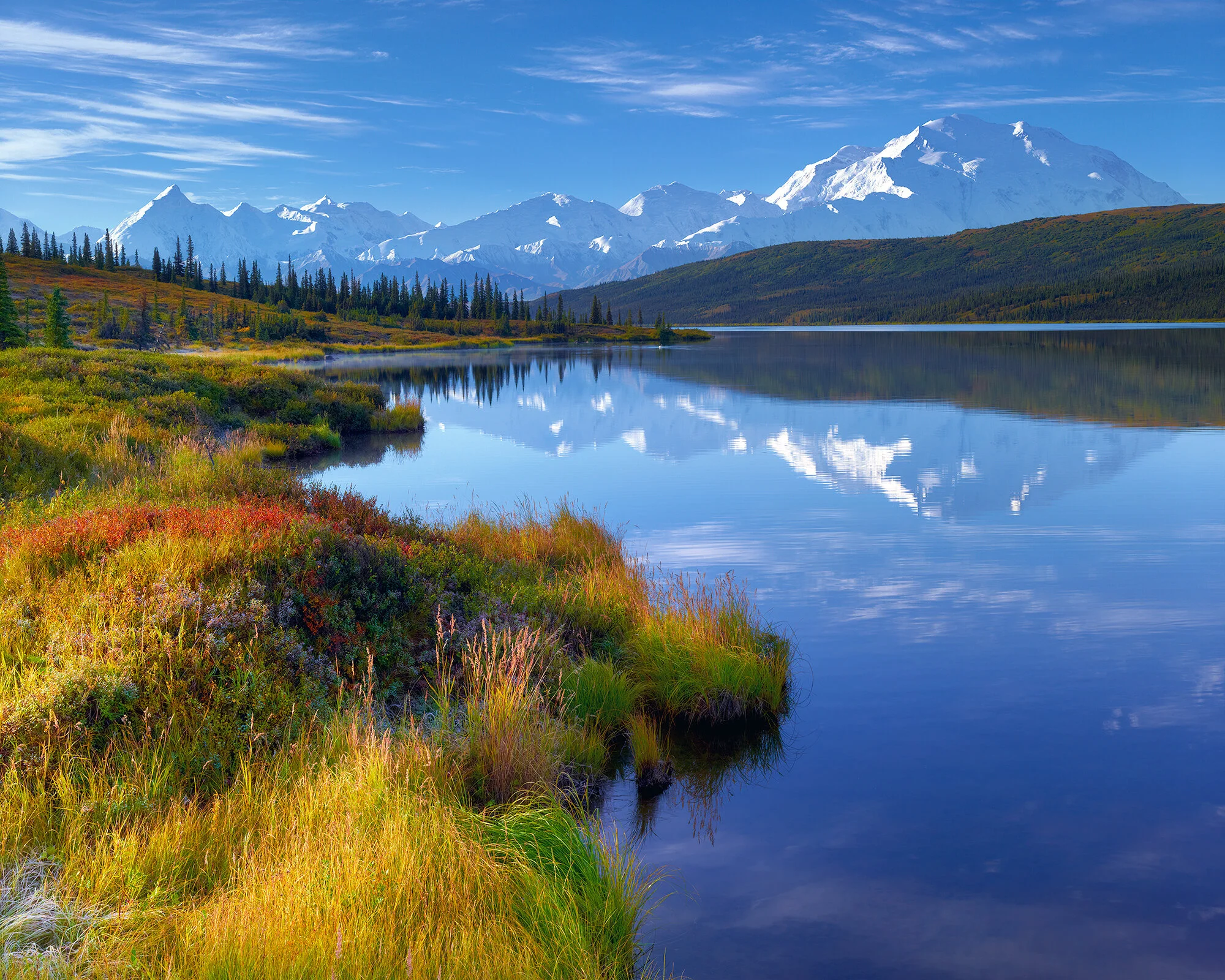 Swan Lake — Rodney Lough Jr.