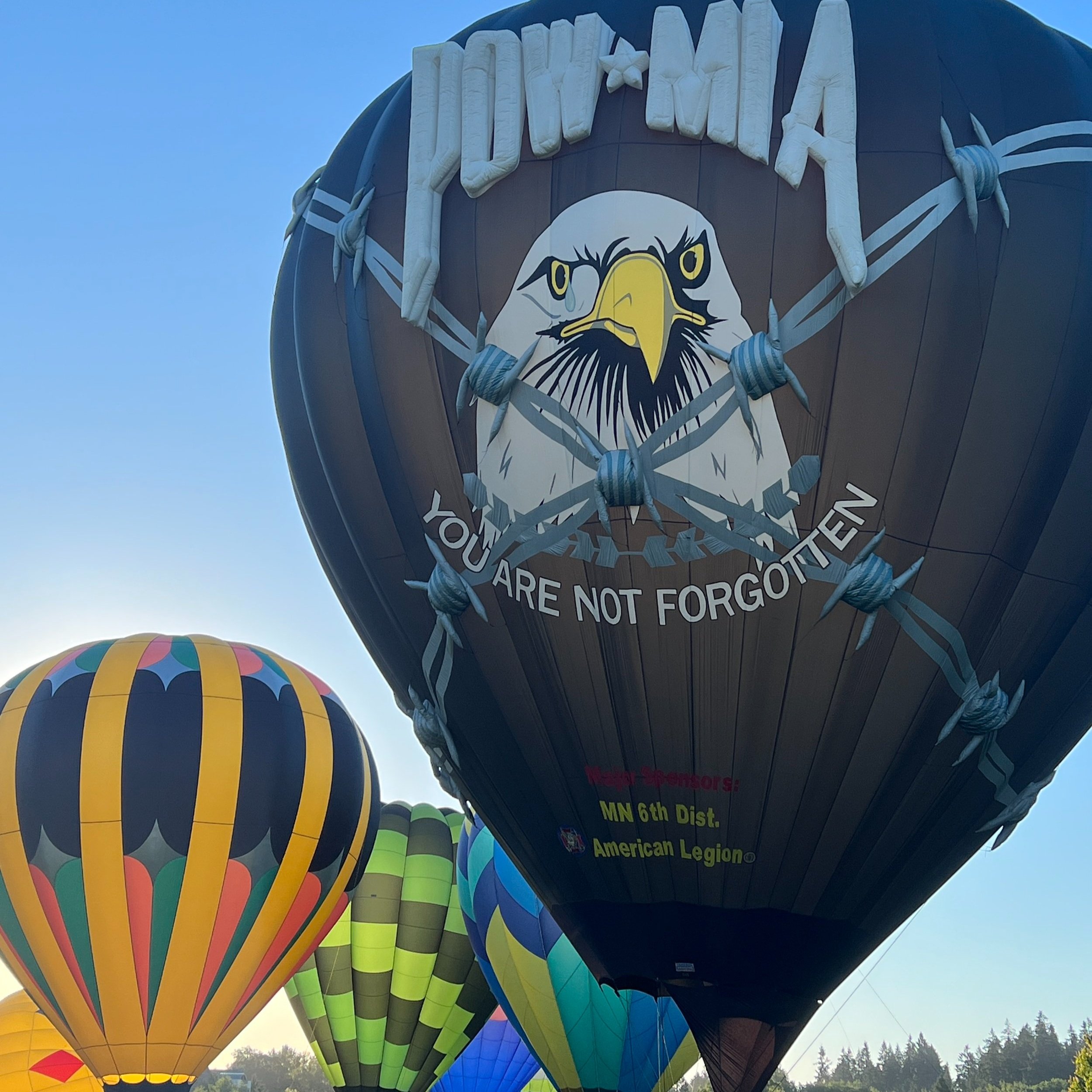 Festival Of Balloons