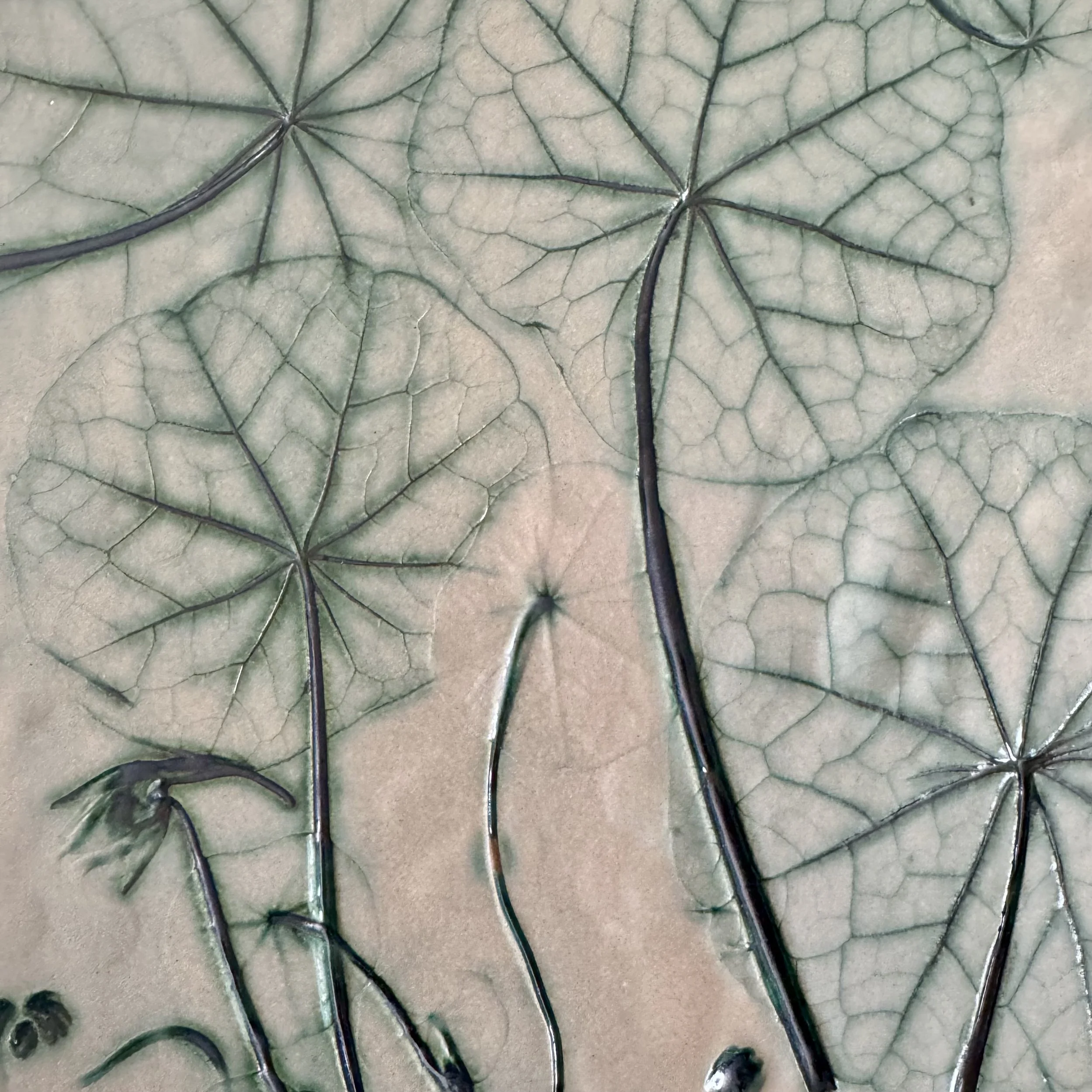 Adult Classes — Center for the Visual Arts