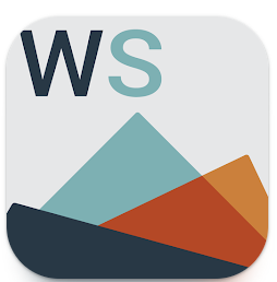 DSP Resources — Active Visions, Inc.