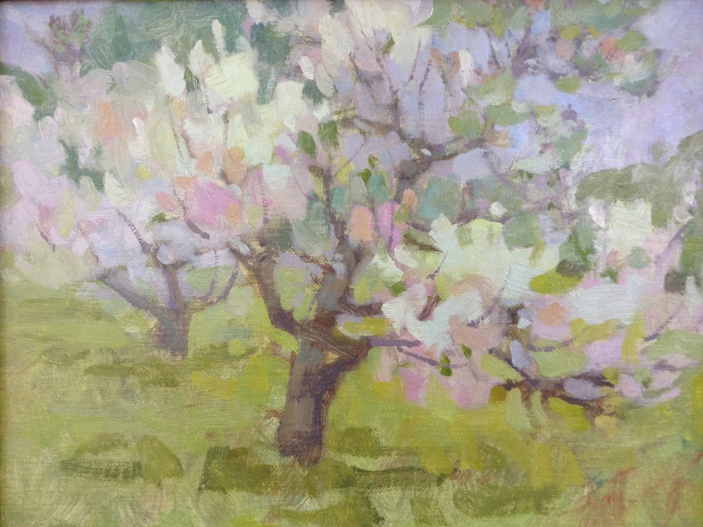 Kevin Haller — GALLERY AUGUSTA