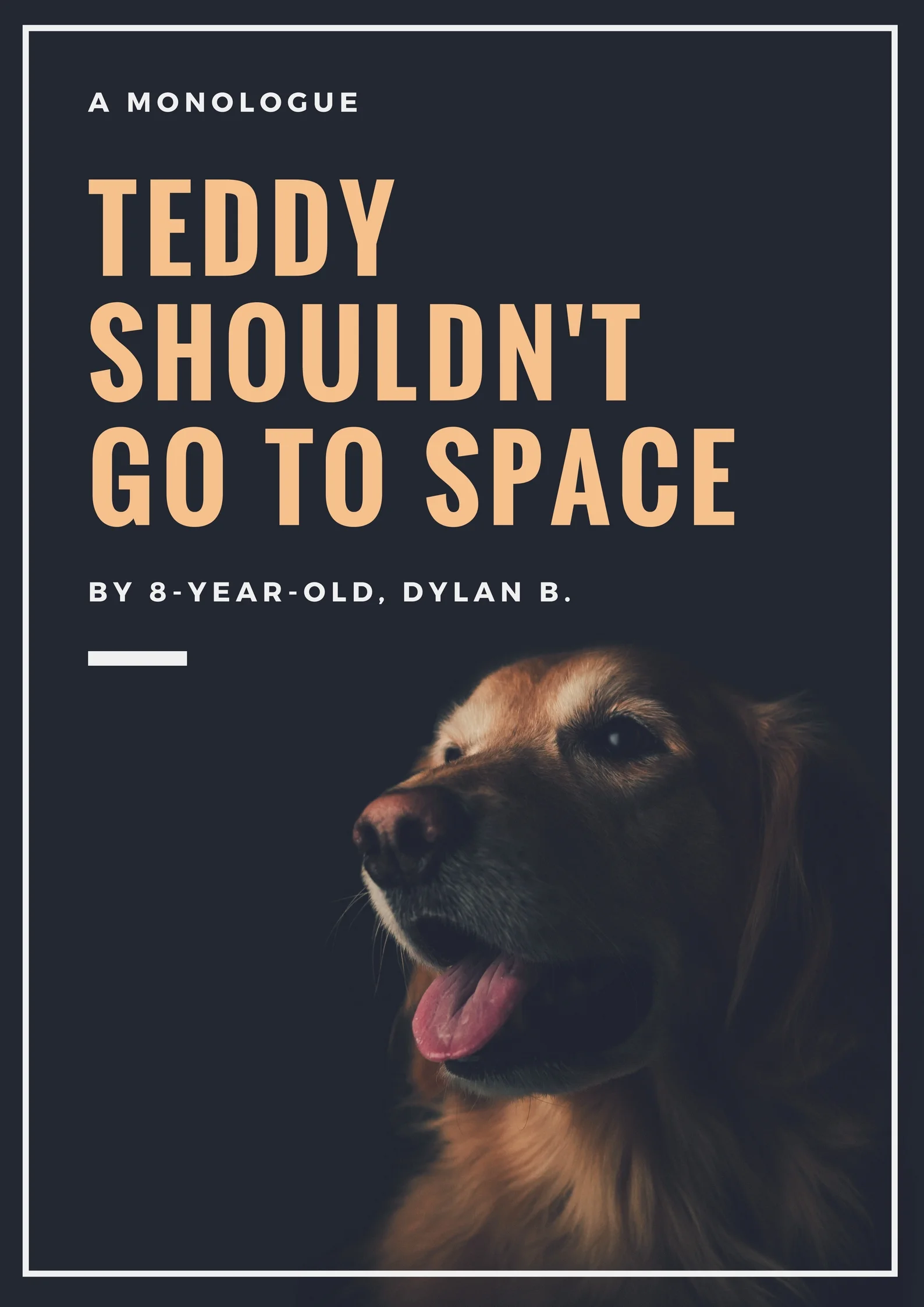 Store — Tara Meddaugh