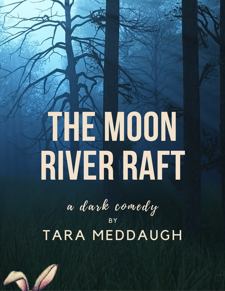 Plays About Sisters — Tara Meddaugh