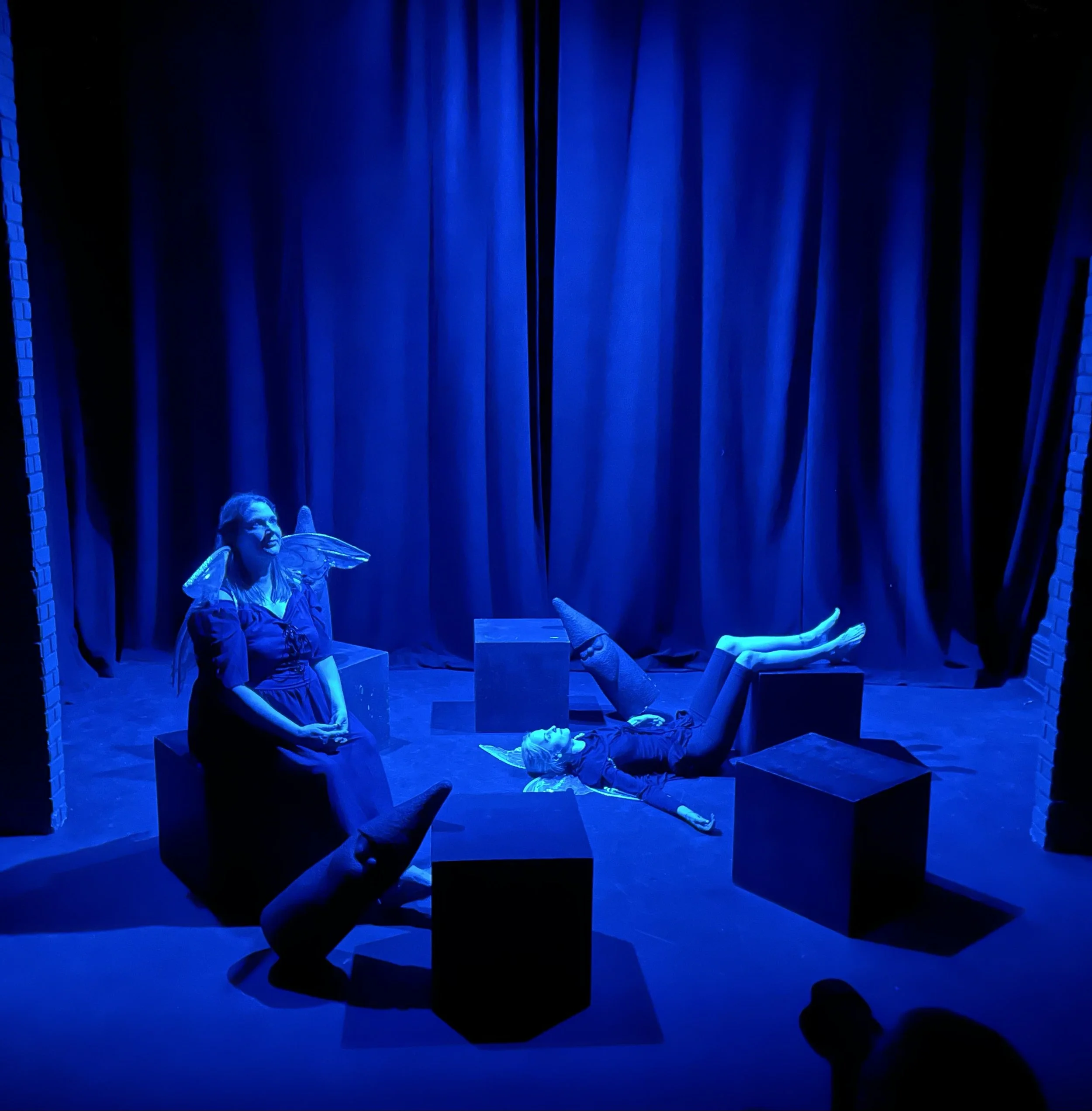 Into the Violet, a dark comedy — Tara Meddaugh