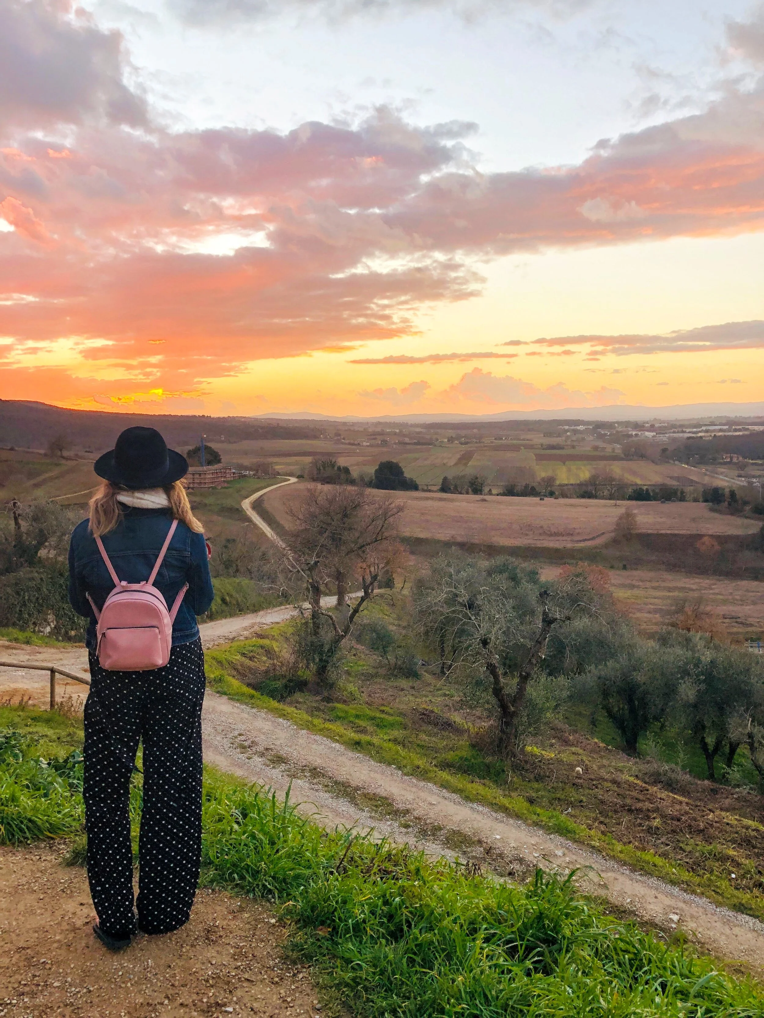 How IEC Opened the Door! — Your Big Year