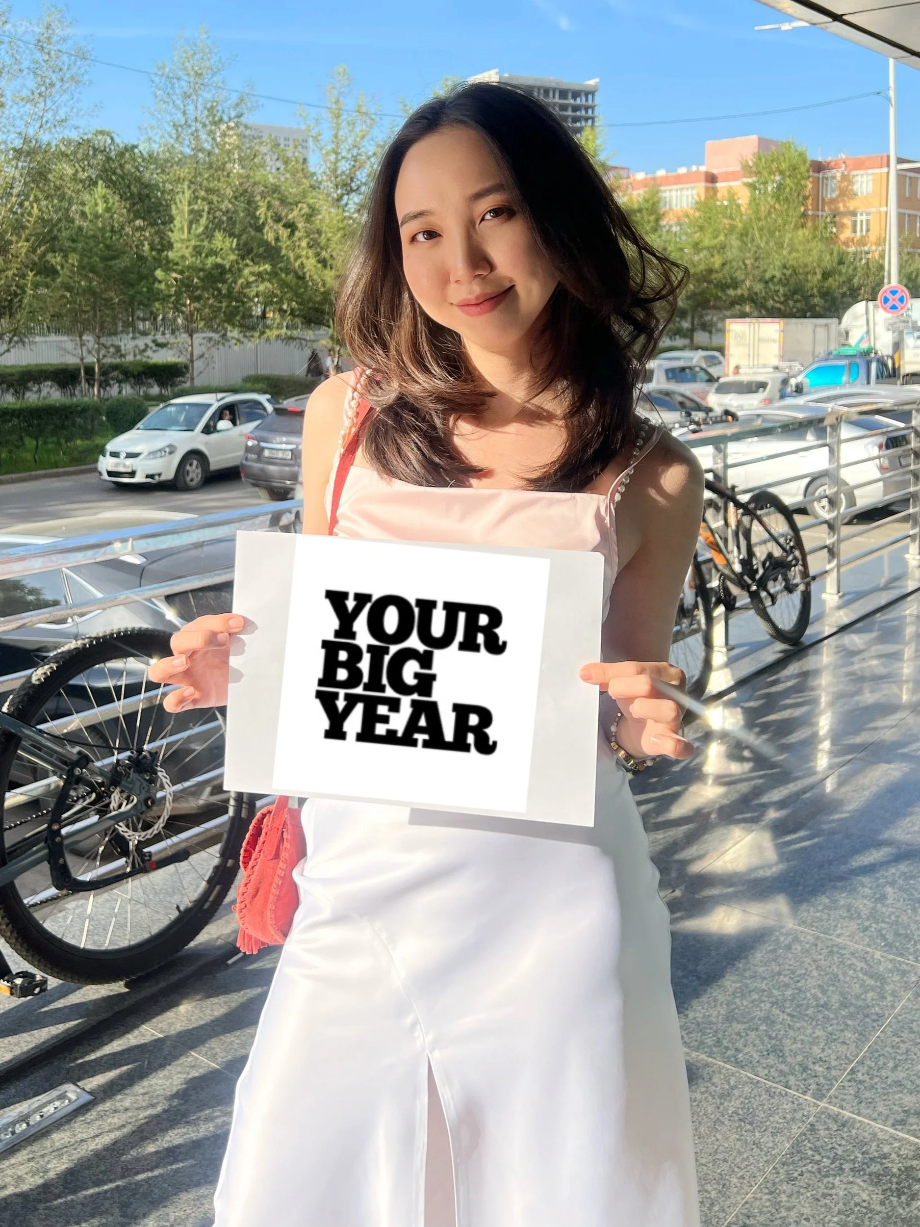 Mission — Your Big Year