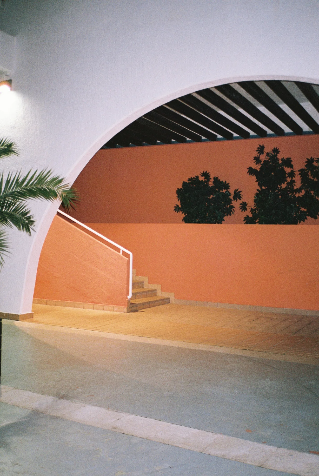 Ada Hamza - COEVAL Magazine