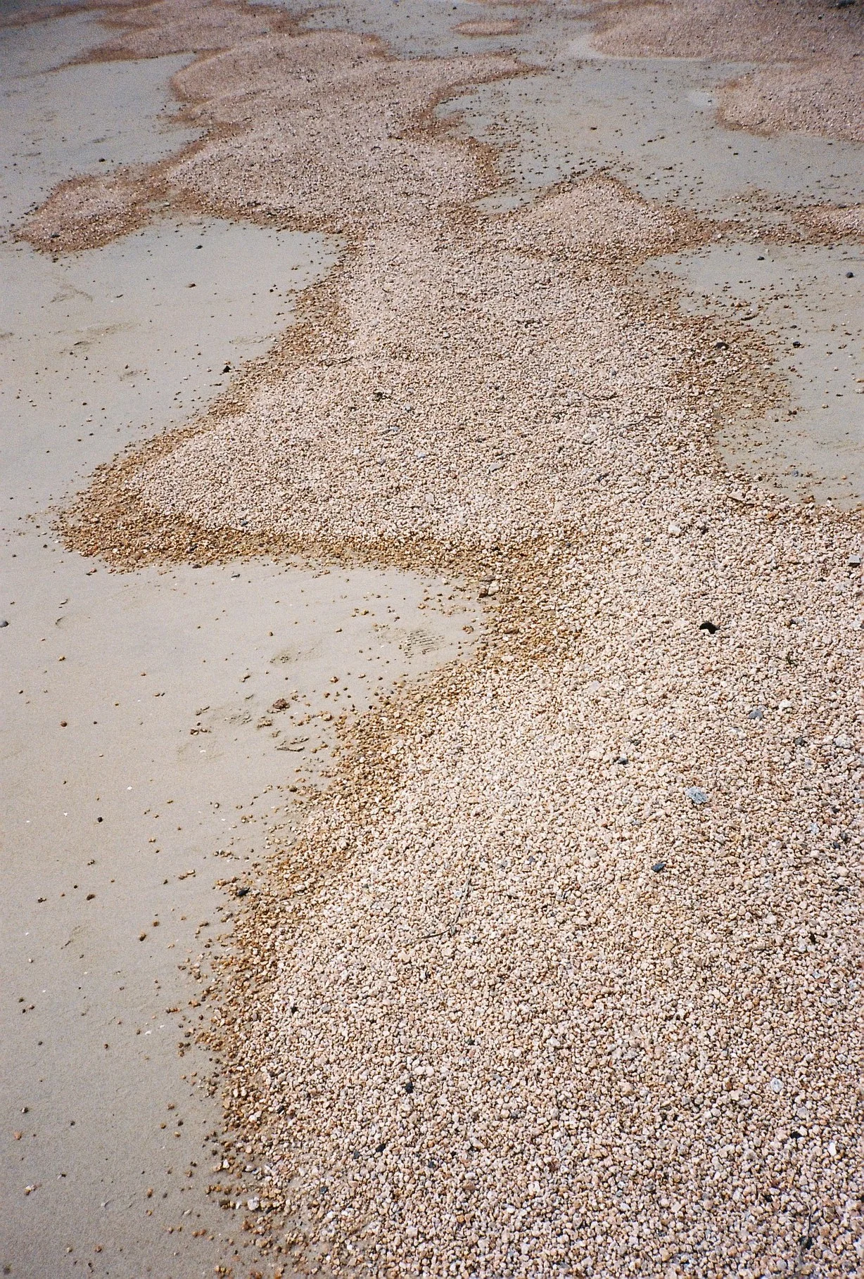 Ada Hamza - COEVAL Magazine