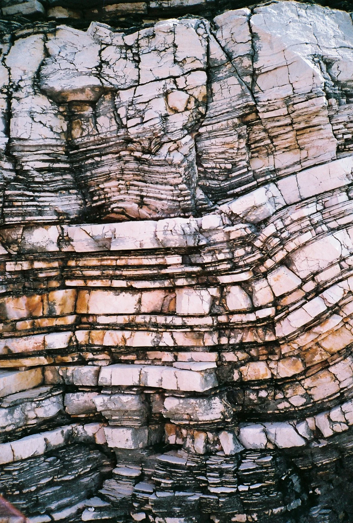 Ada Hamza - COEVAL Magazine