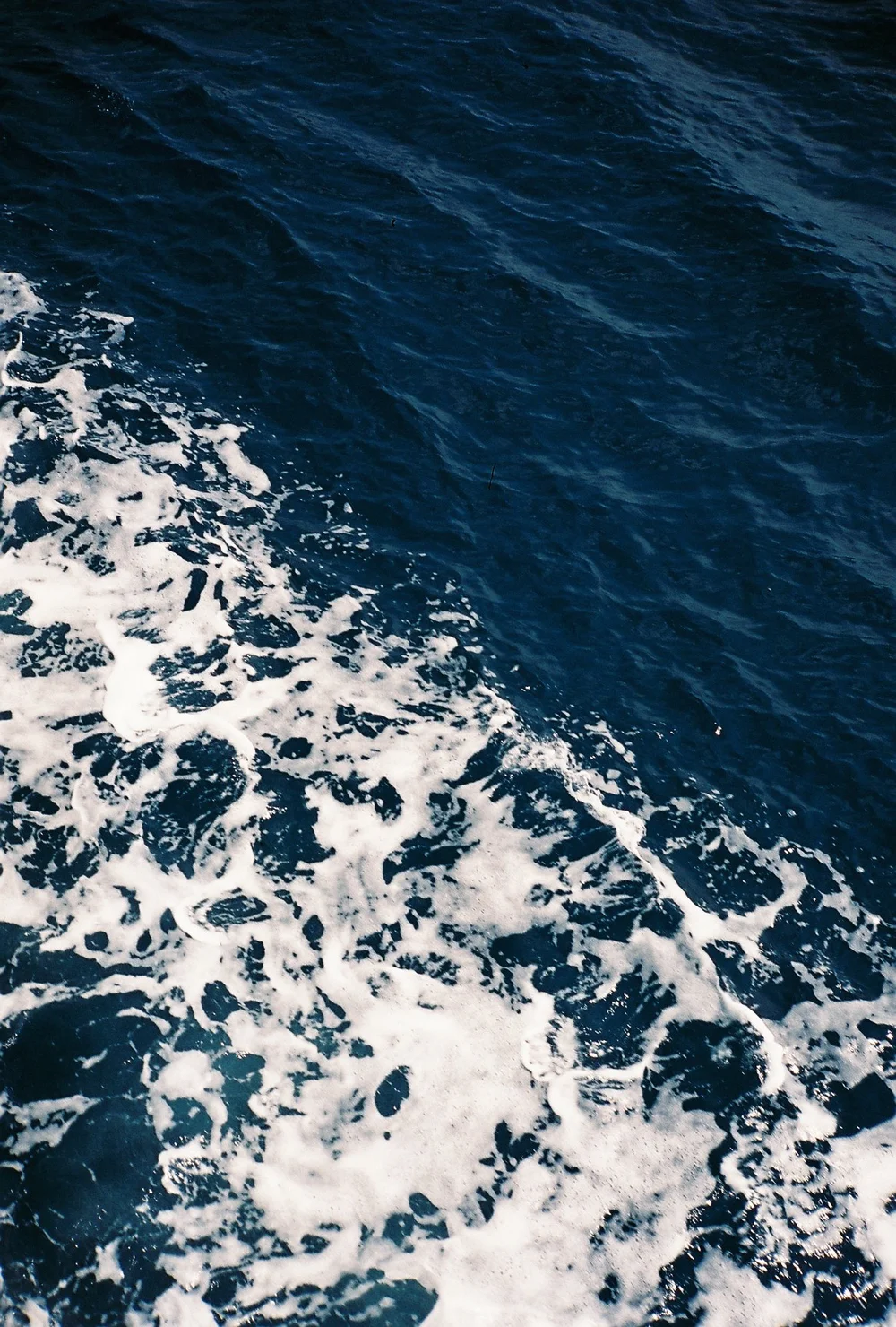 Ada Hamza - COEVAL Magazine