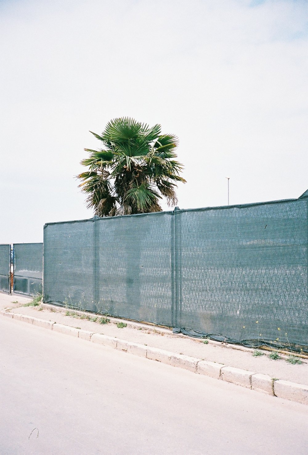 Ada Hamza - COEVAL Magazine