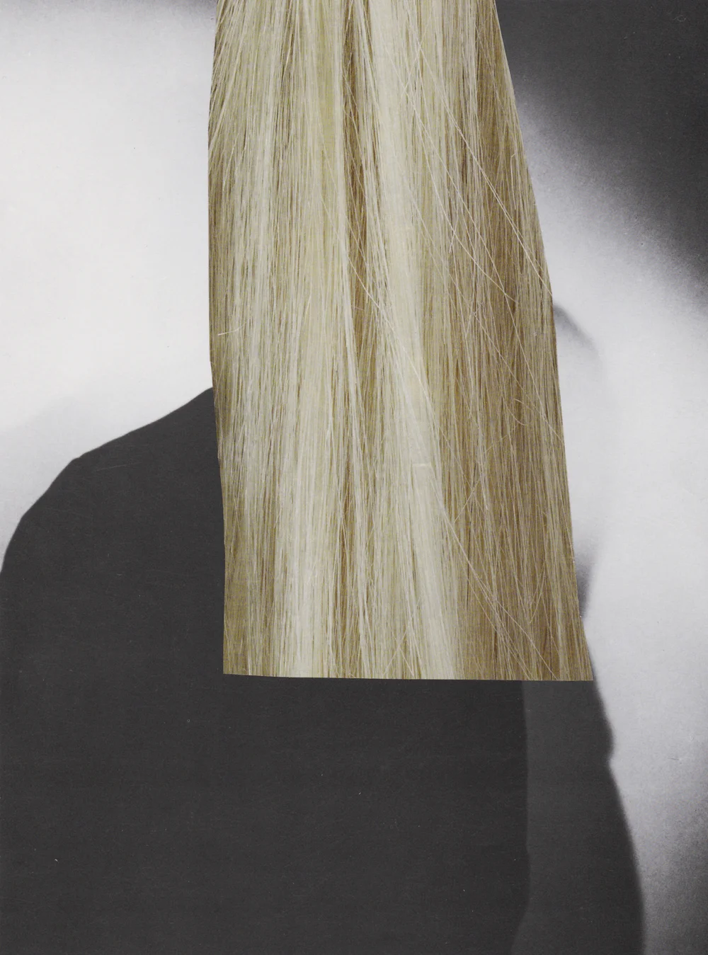 Jorge Chamorro - COEVAL Magazine