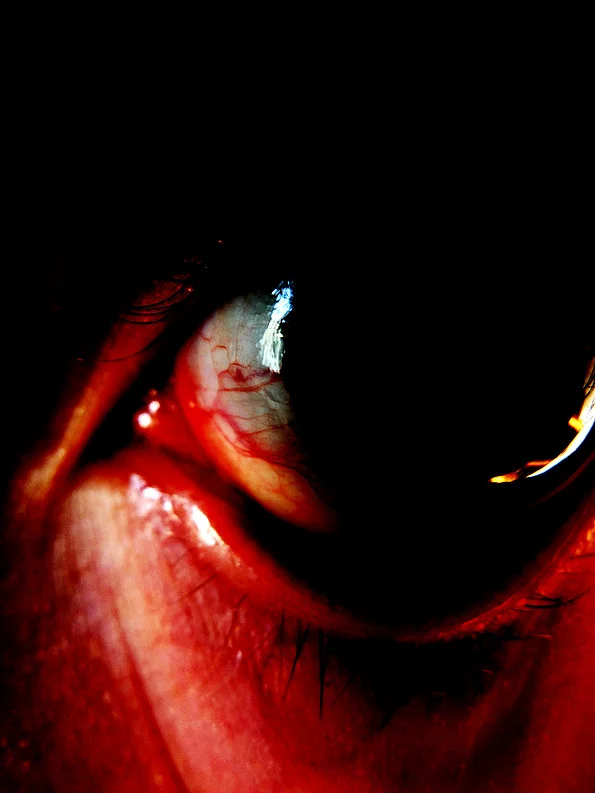 Igor Pisuk - COEVAL Magazine