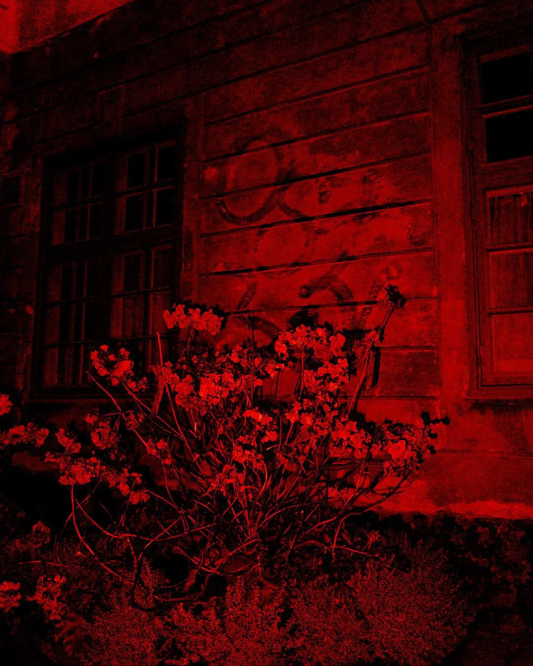 Igor Pisuk - COEVAL Magazine