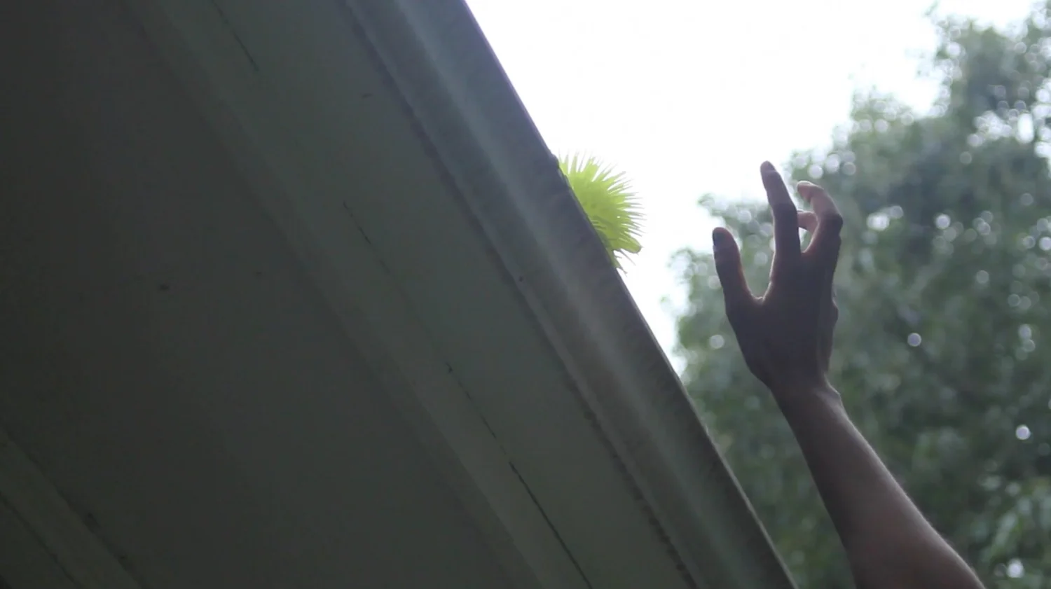 Saige Rowe - COEVAL Magazine