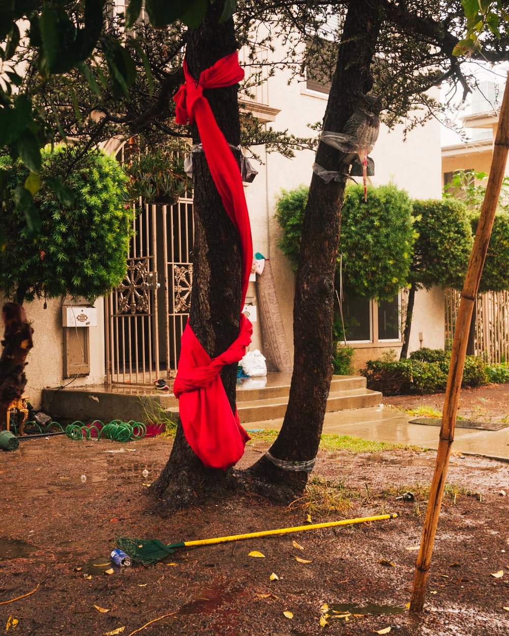 Roman Koval - COEVAL Magazine