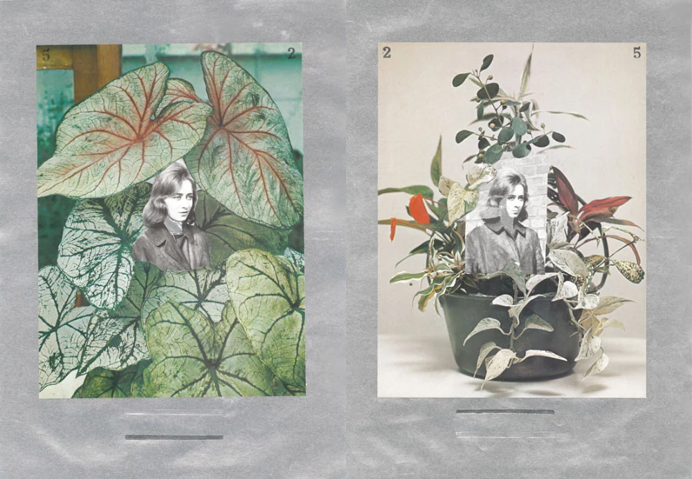 Yelena Smith - COEVAL Magazine