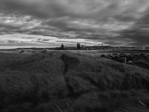 Danny Lowe - COEVAL Magazine