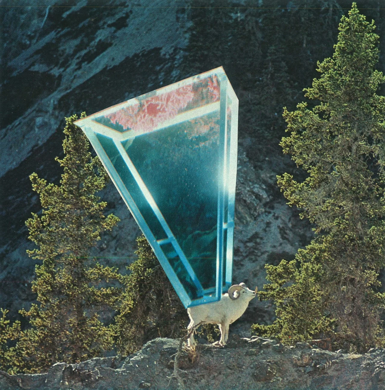 Jesse Treece - COEVAL Magazine