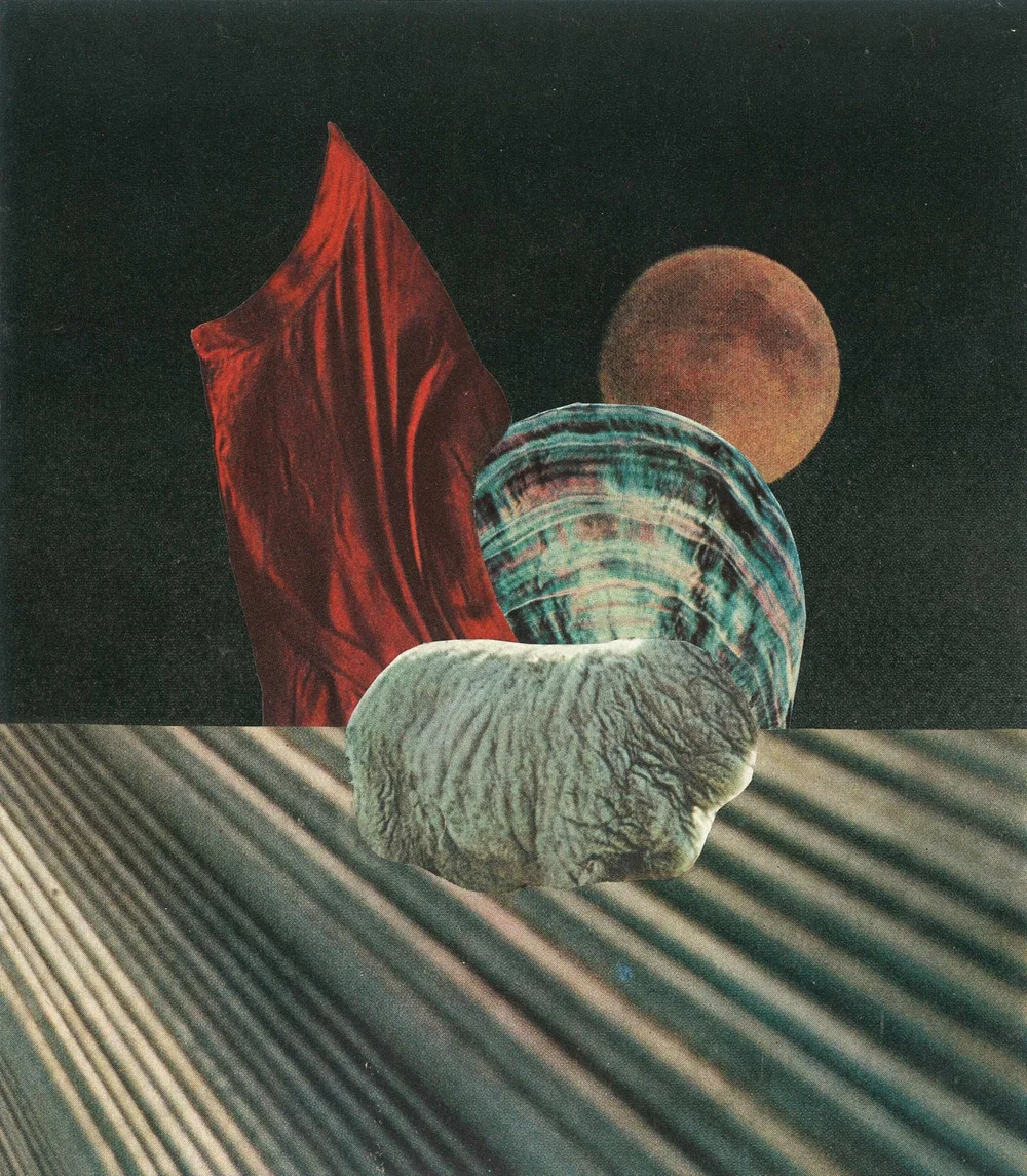 Jesse Treece - COEVAL Magazine