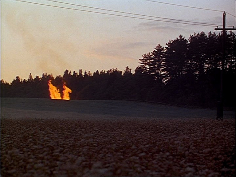 Andrei Tarkovsky - COEVAL Magazine