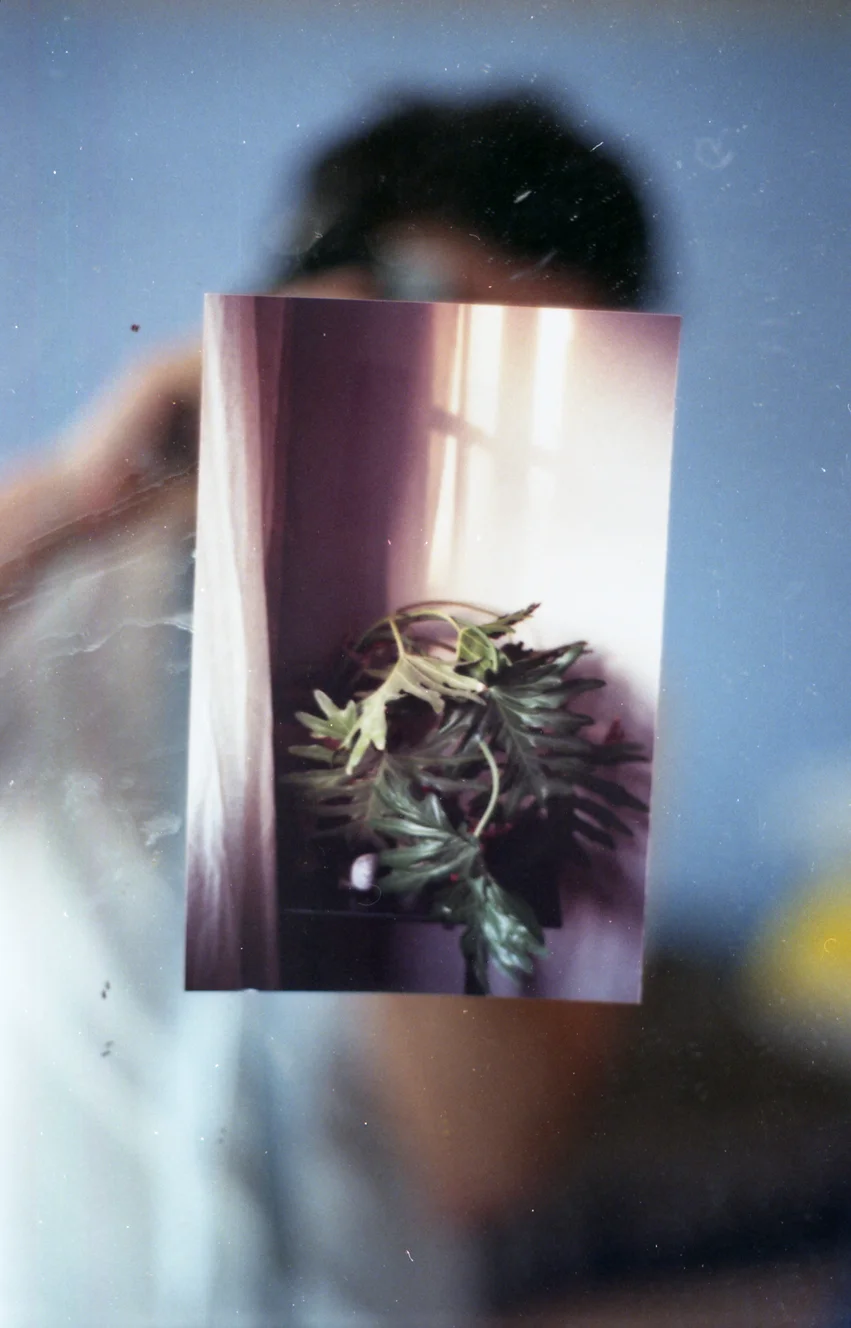 Nico Colón - COEVAL Magazine