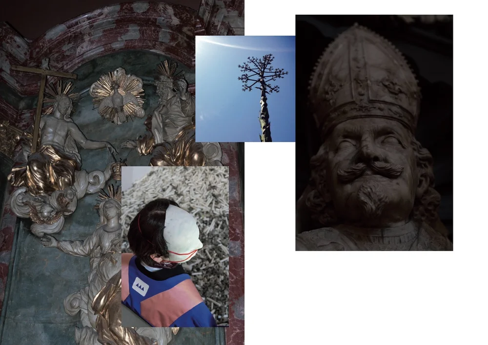 Paraphilia - COEVAL Magazine