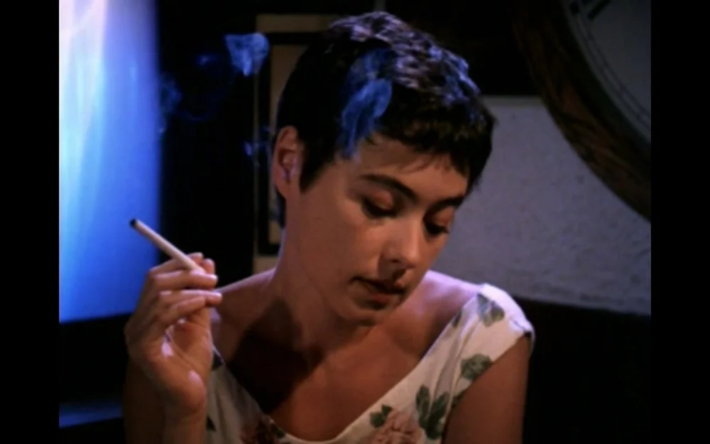 Surviving Desire by Hal Hartley (1991) - COEVAL Magazine