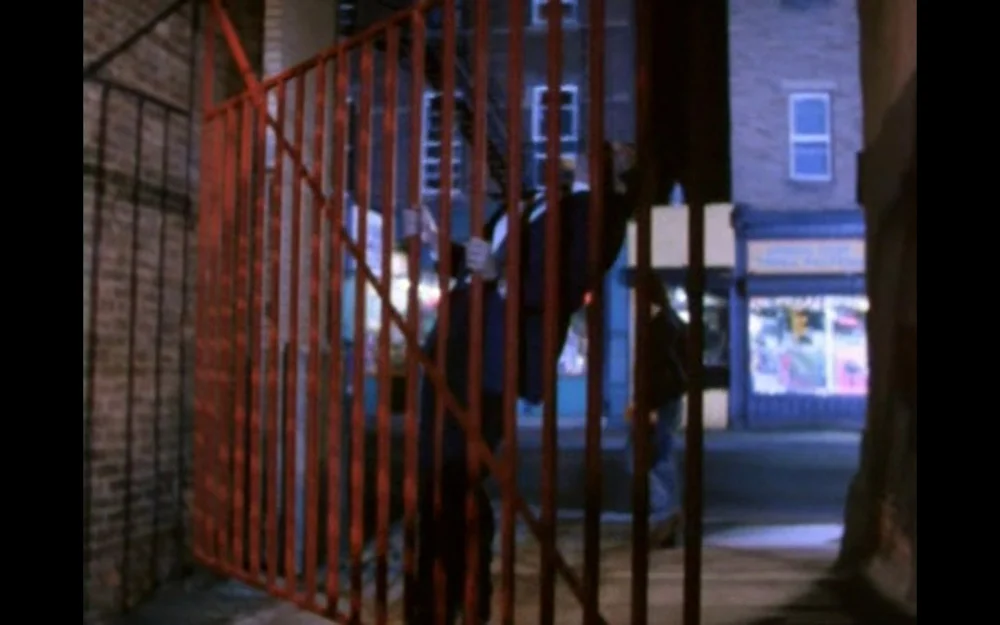 Surviving Desire by Hal Hartley (1991) - COEVAL Magazine