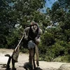 Joe Hamilton - COEVAL Magazine