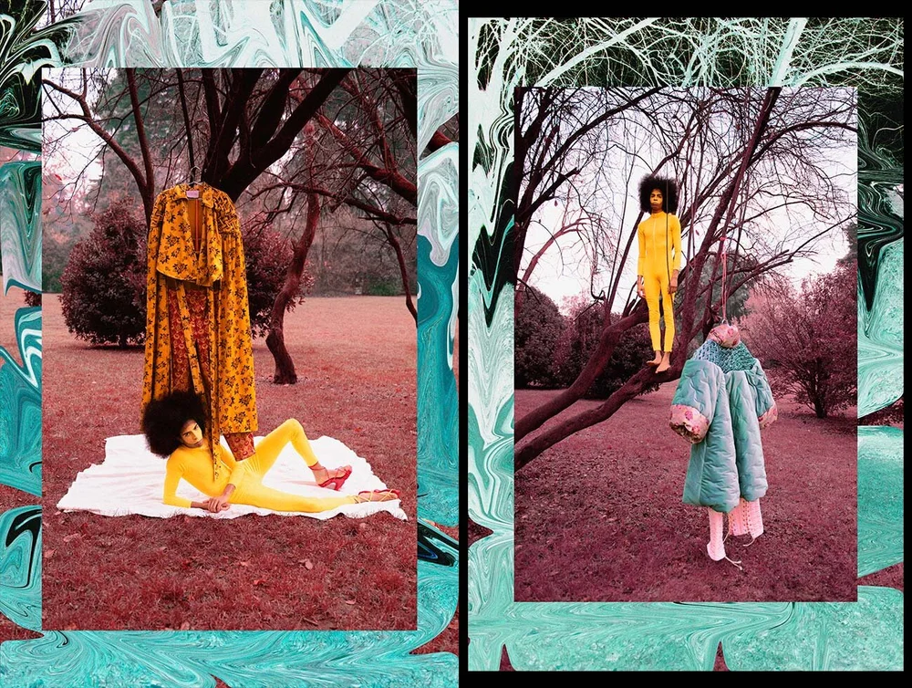 New Still Life - COEVAL Magazine