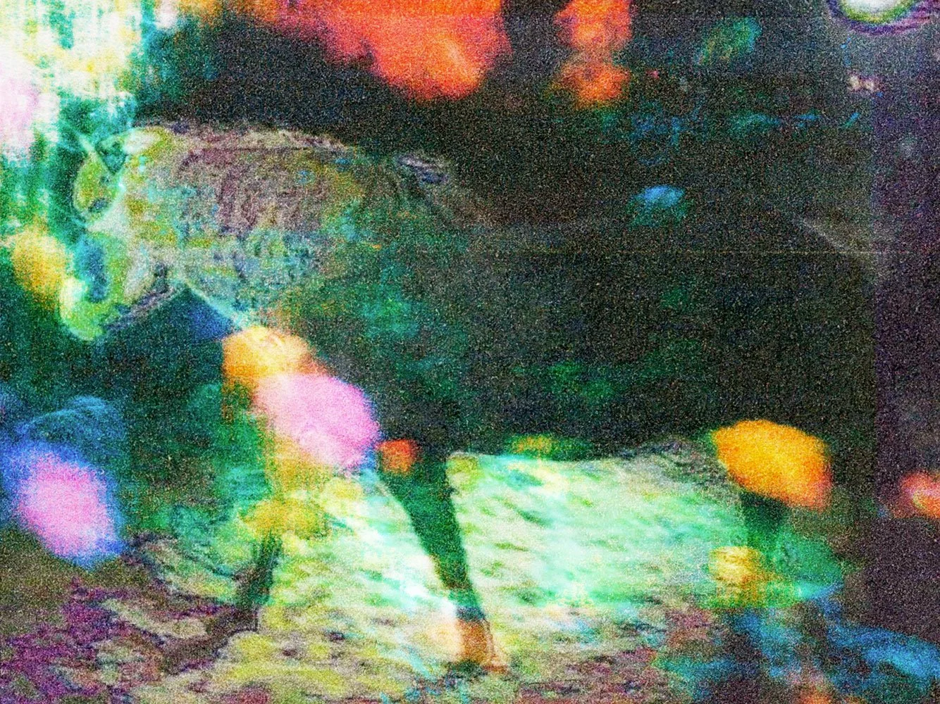 Gareth McConnell - COEVAL Magazine