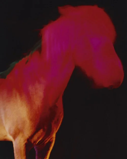 Gareth McConnell - COEVAL Magazine